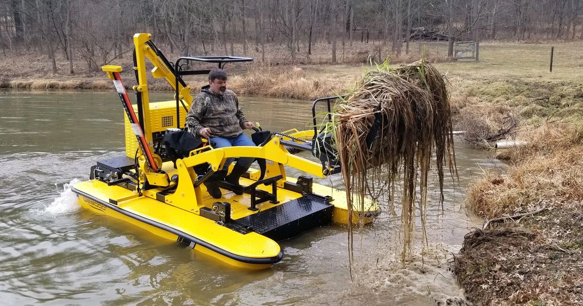 Why Your Pond Is Turning Into a Swamp: An Overnight Crisis | Legacy ...